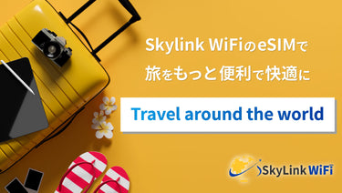 Skylink Global Official Store