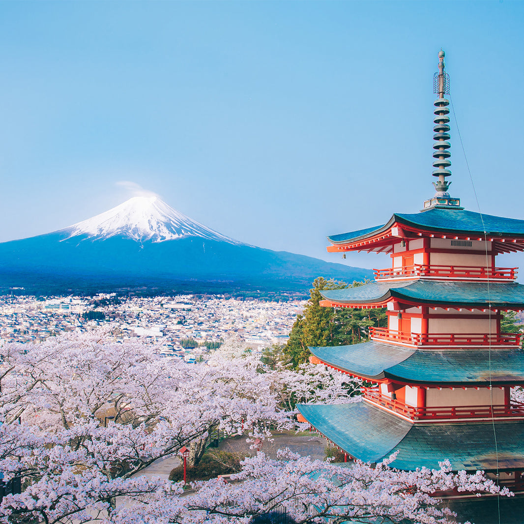 Skylink Global Official Store